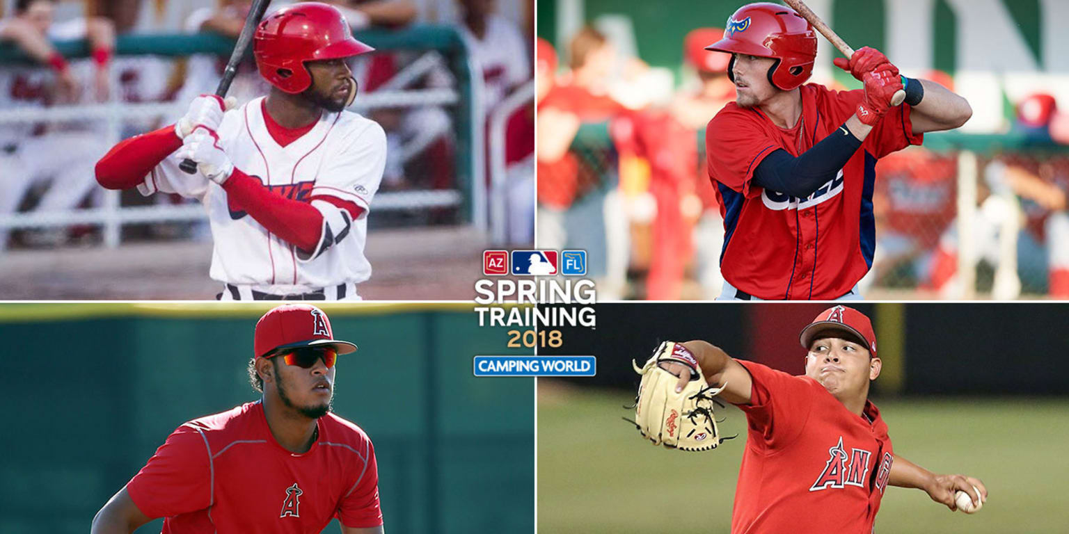 Angels Pipeline Spring Training report