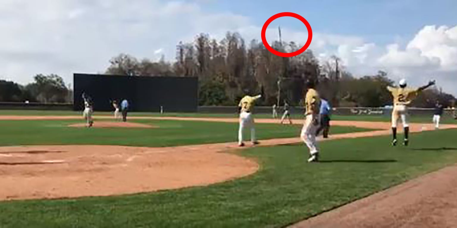 This college ballplayer celebrated his walk-off home run with an ...