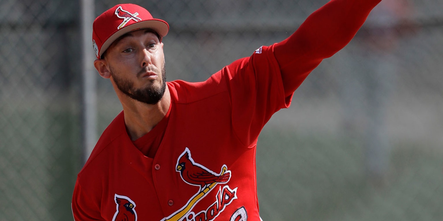 Jordan Schafer hoping for Cardinals comeback