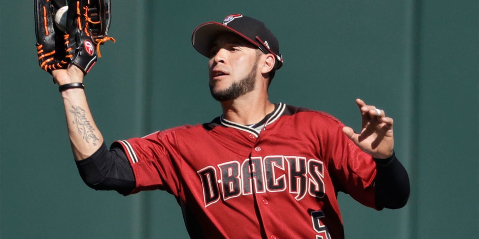 Diamondbacks call up outfielder Gregor Blanco