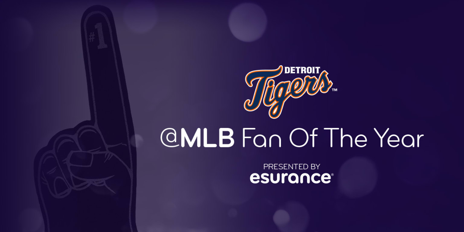 Vote for the Tigers' top fan of 2016
