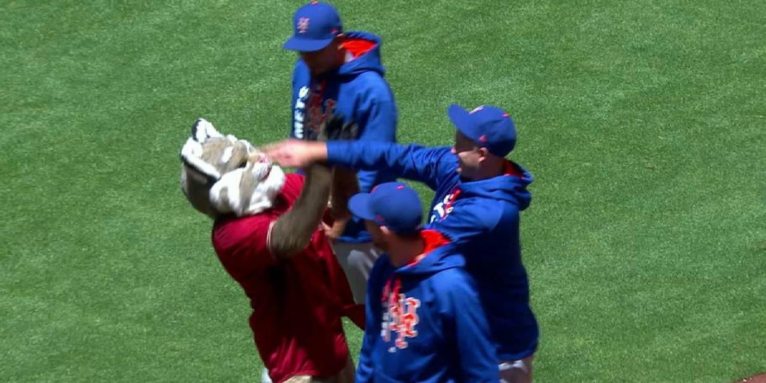 Addison Reed continued the Mets' battle against mascots by taking on ...