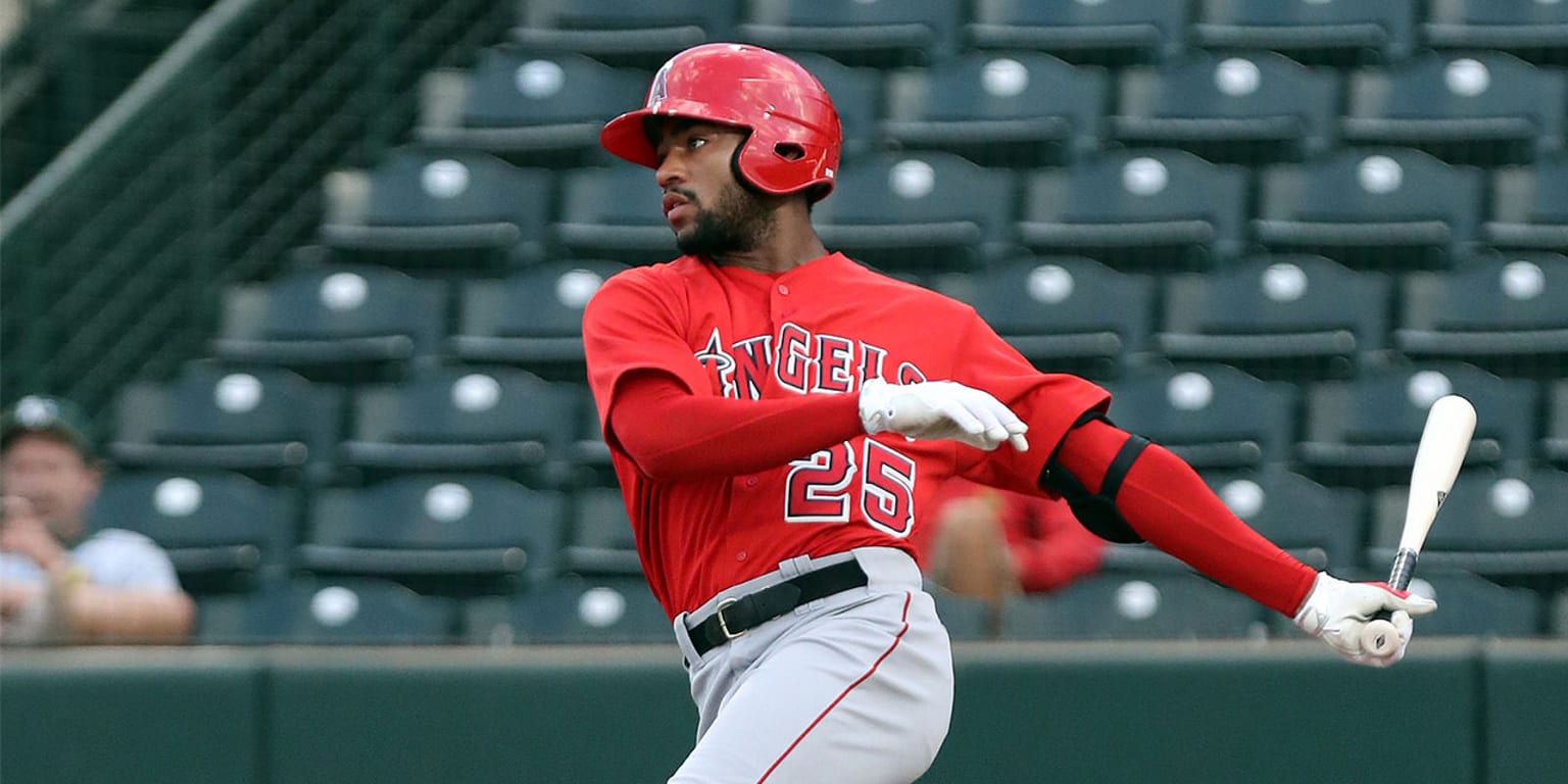 Angels prospect Jo Adell hosts turkey drive