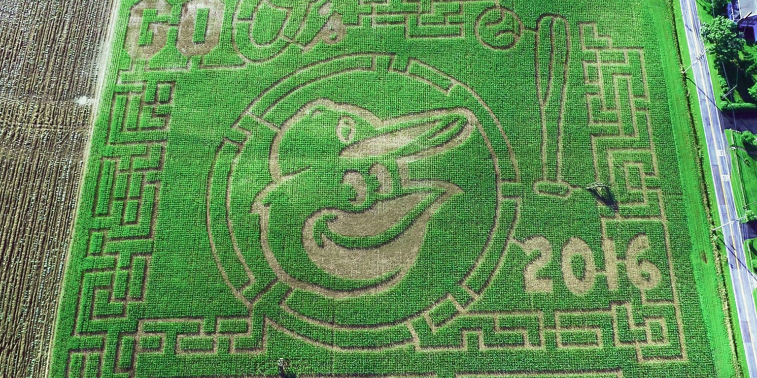 One Maryland farm is cheering on the Orioles with a glorious corn maze ...