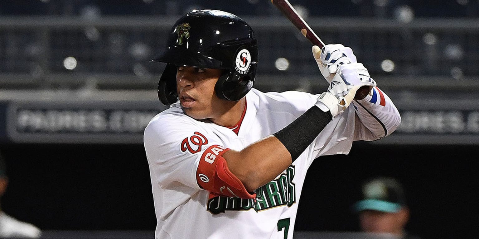 Nationals 2019 Arizona Fall League overview