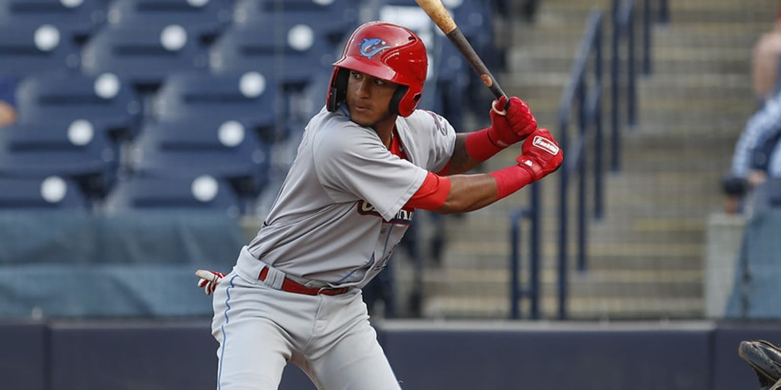 Phillies Minor League Review May 13-19