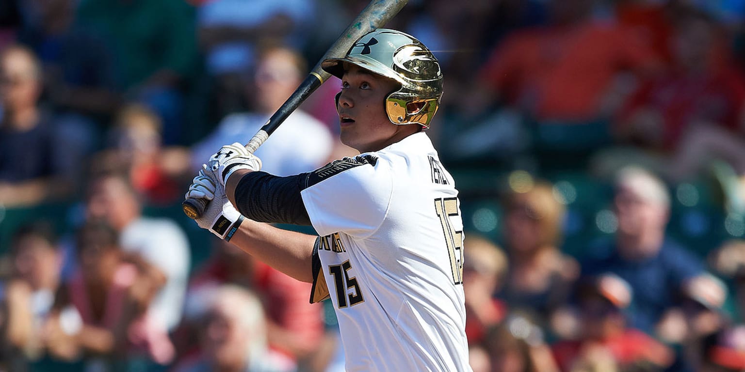 D-backs draft catcher Andy Yerzy