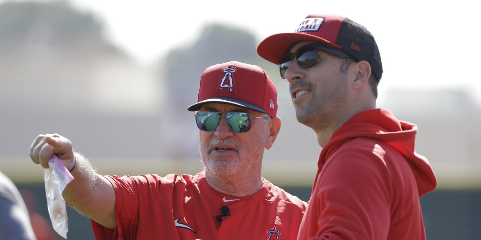 Angels roster decisions for 2020