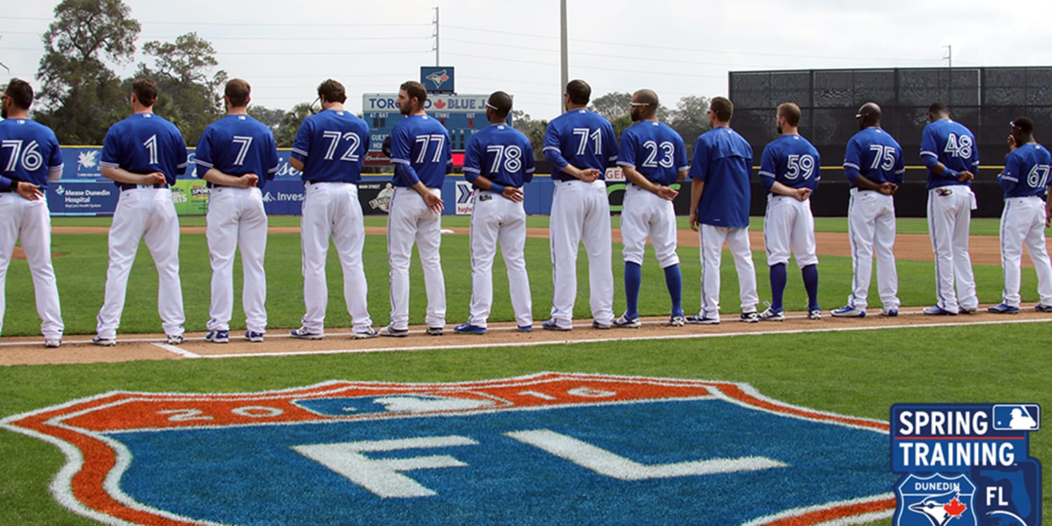 Toronto Blue Jays prospects at Spring Training