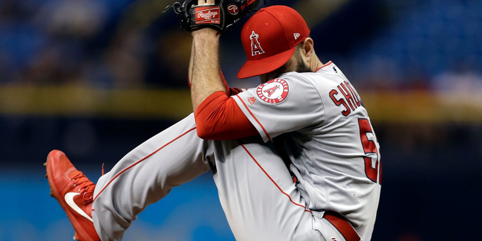 Angels pitchers combine to shut out Rays