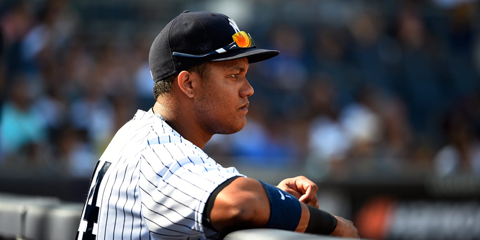 Starlin Castro sets bar higher for 2017