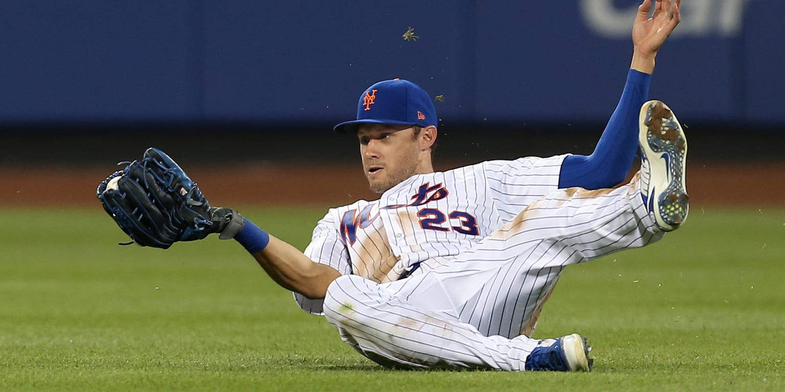 Mets call up Matthew den Dekker, Jacob Rhame