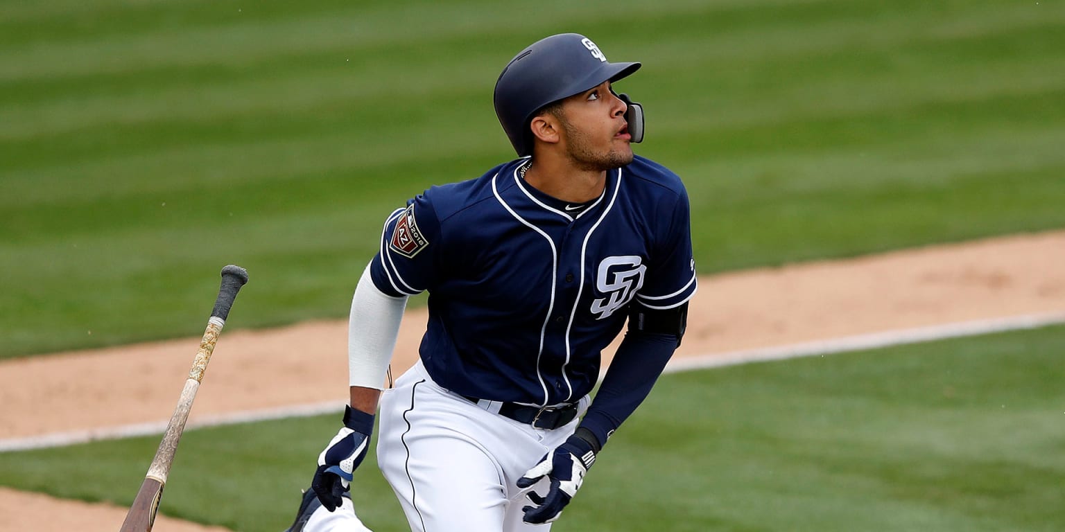 Fernando Tatis hits second spring homer