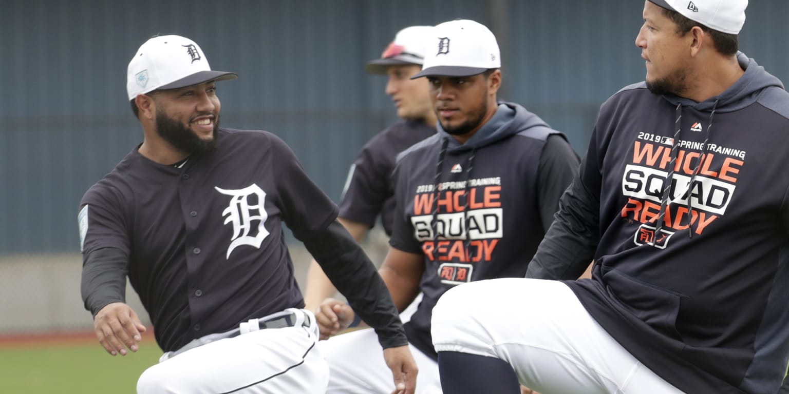 Ronny Rodriguez competes for Tigers utility role