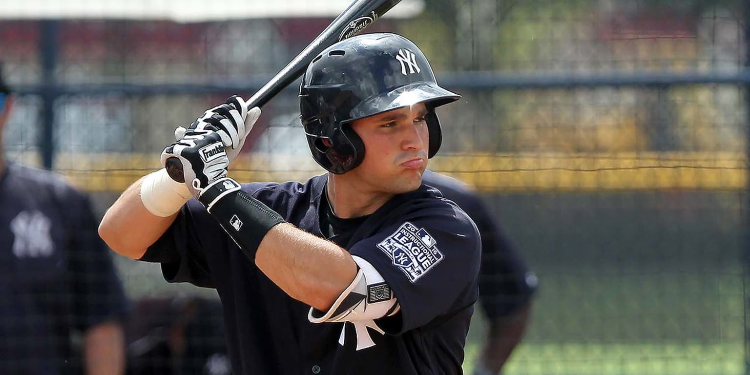 Padres trade Josh VanMeter for Luis Torrens