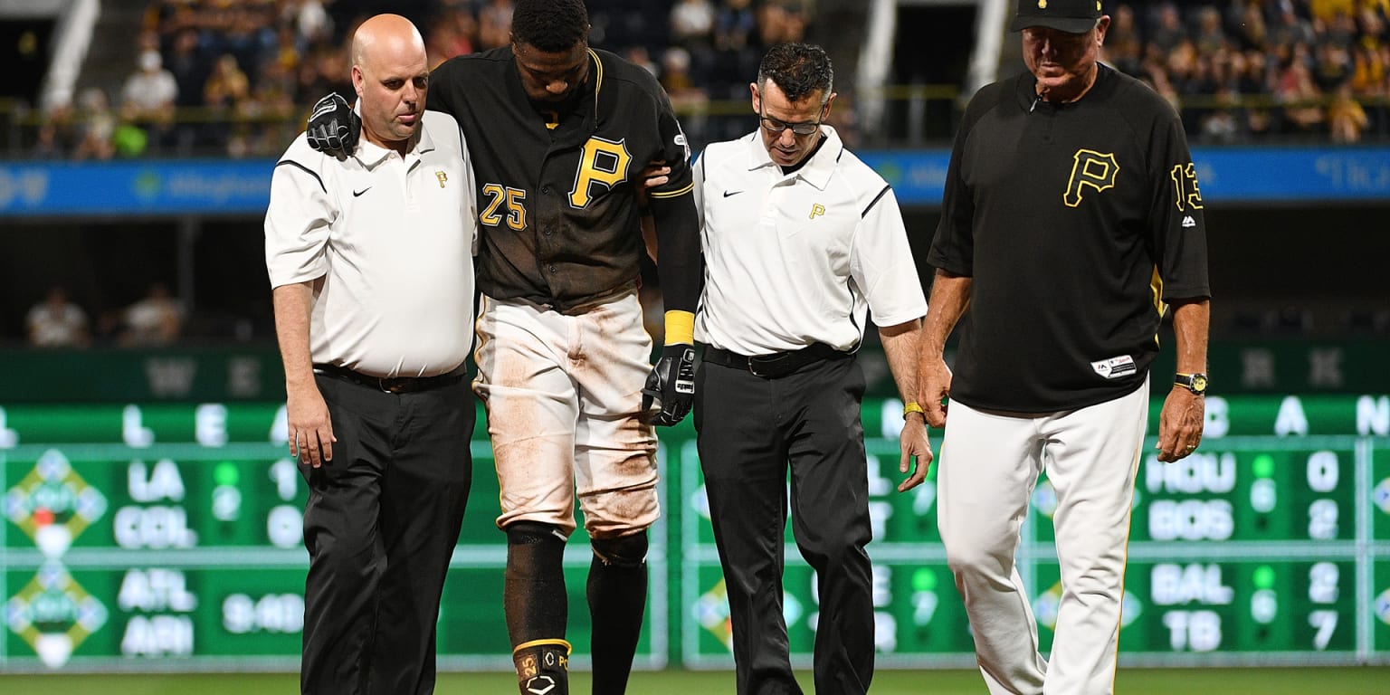 Polanco perderá el resto de la campaña