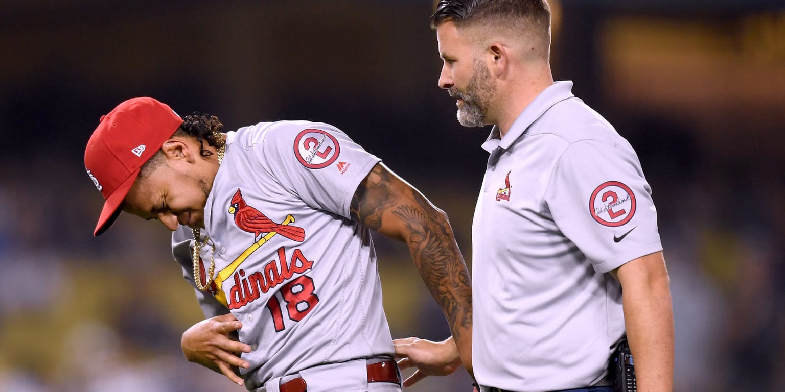 Carlos Martinez hit in chest by line drive
