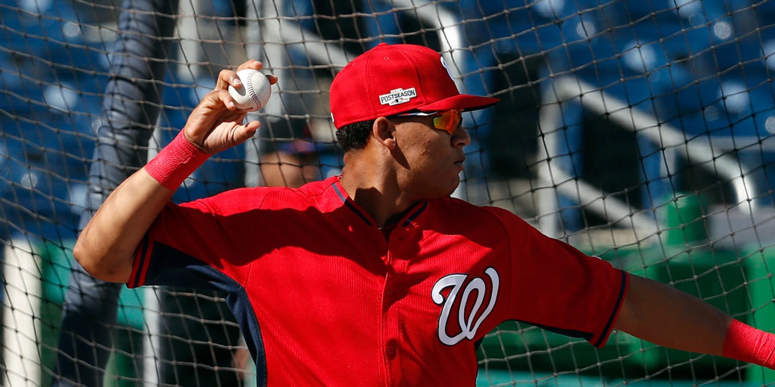 Nats confident in Pedro Severino, Jose Lobaton