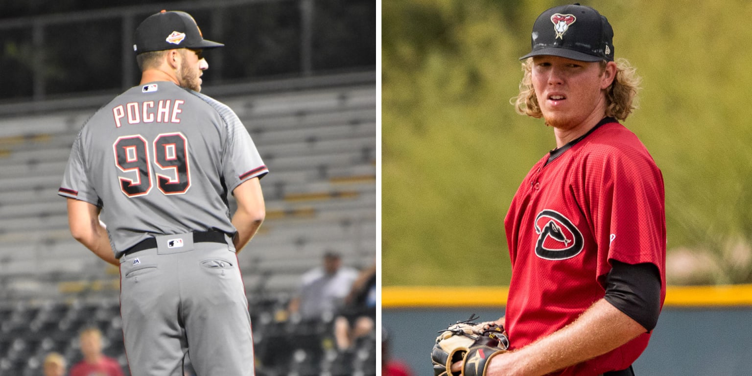 Rays acquire Colin Poche, Sam McWilliams