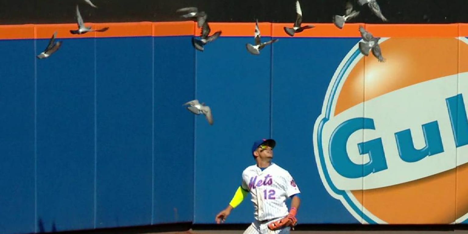 These pigeons heard Juan Lagares coming so they cleared out of his way ...