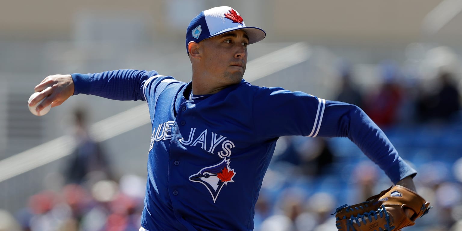 Aaron Sanchez satisfied with Spring Training