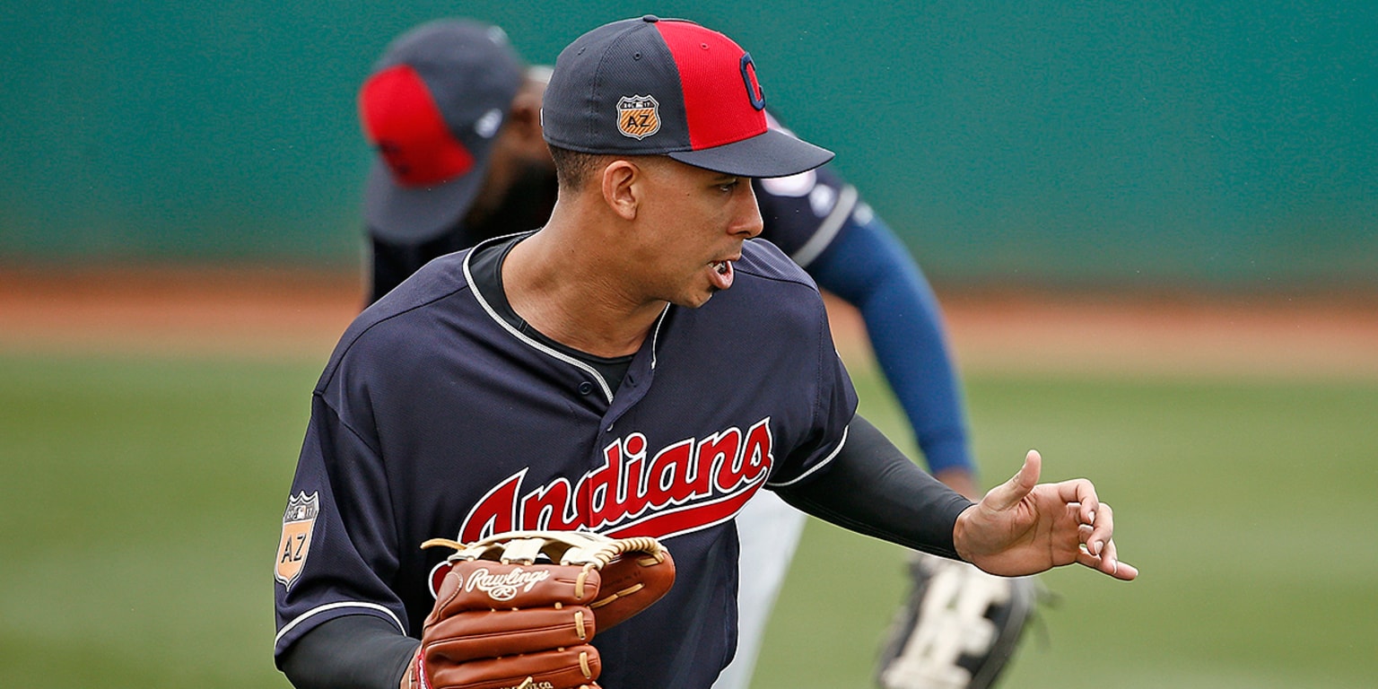 Michael Brantley to play in Minor League games