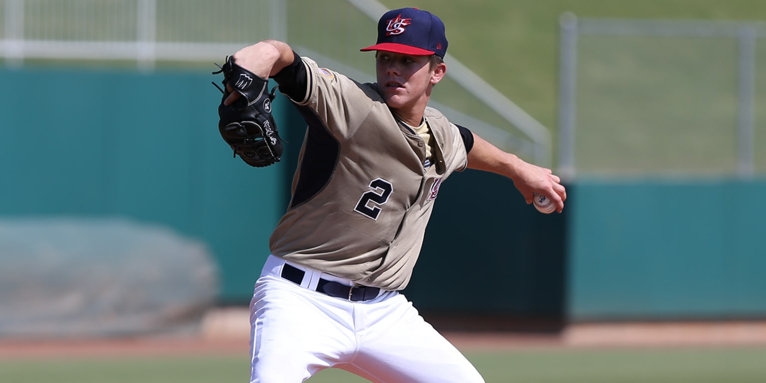 MLB Draft profile on prospect D.L. Hall