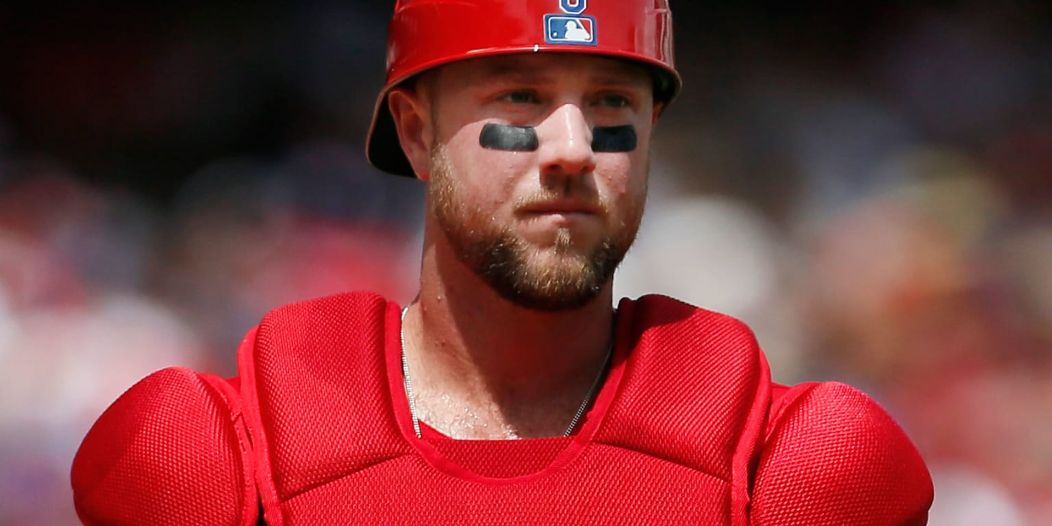 Red Sox claim catcher Bryan Holaday