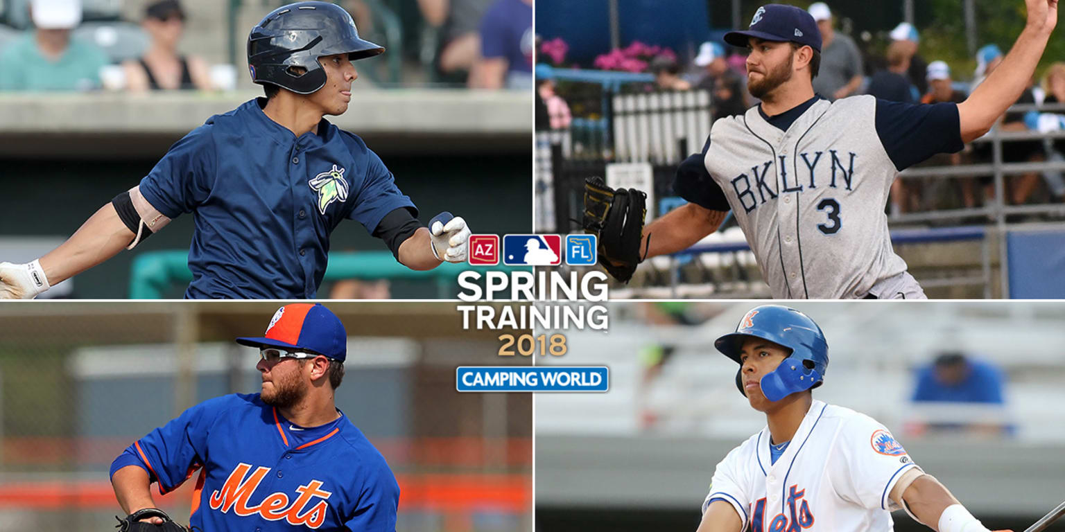 New York Mets Pipeline Spring Training report