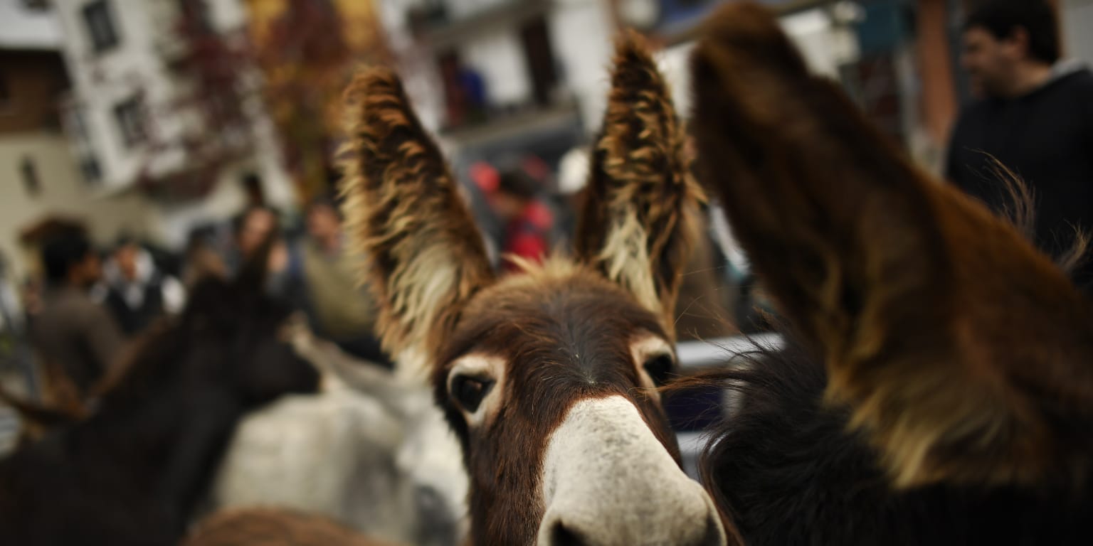 If Zack Cozart makes the All-Star team, teammate Joey Votto will give ...