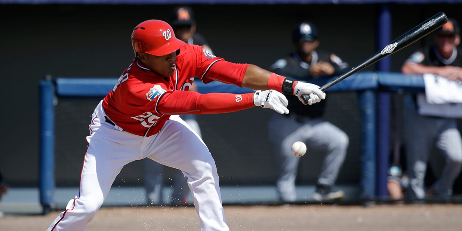 Nationals cut Pedro Severino at spring camp