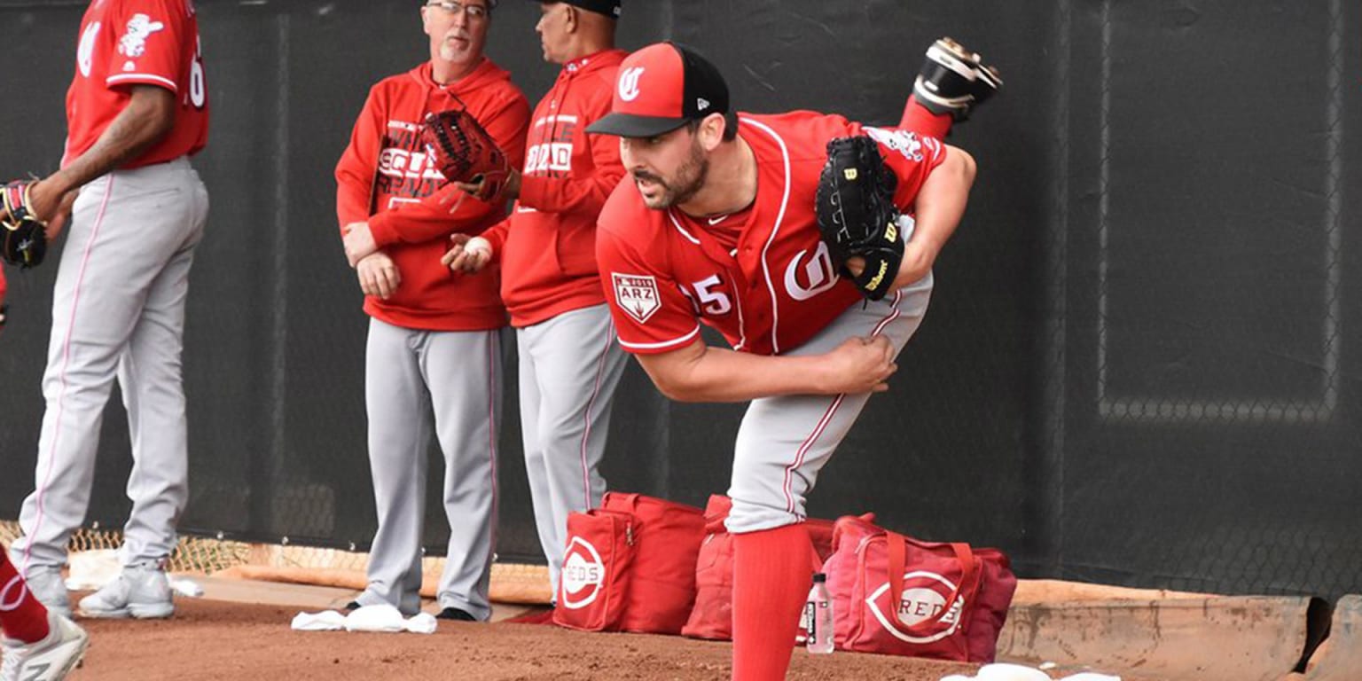 Reds hope Tanner Roark will bring stability