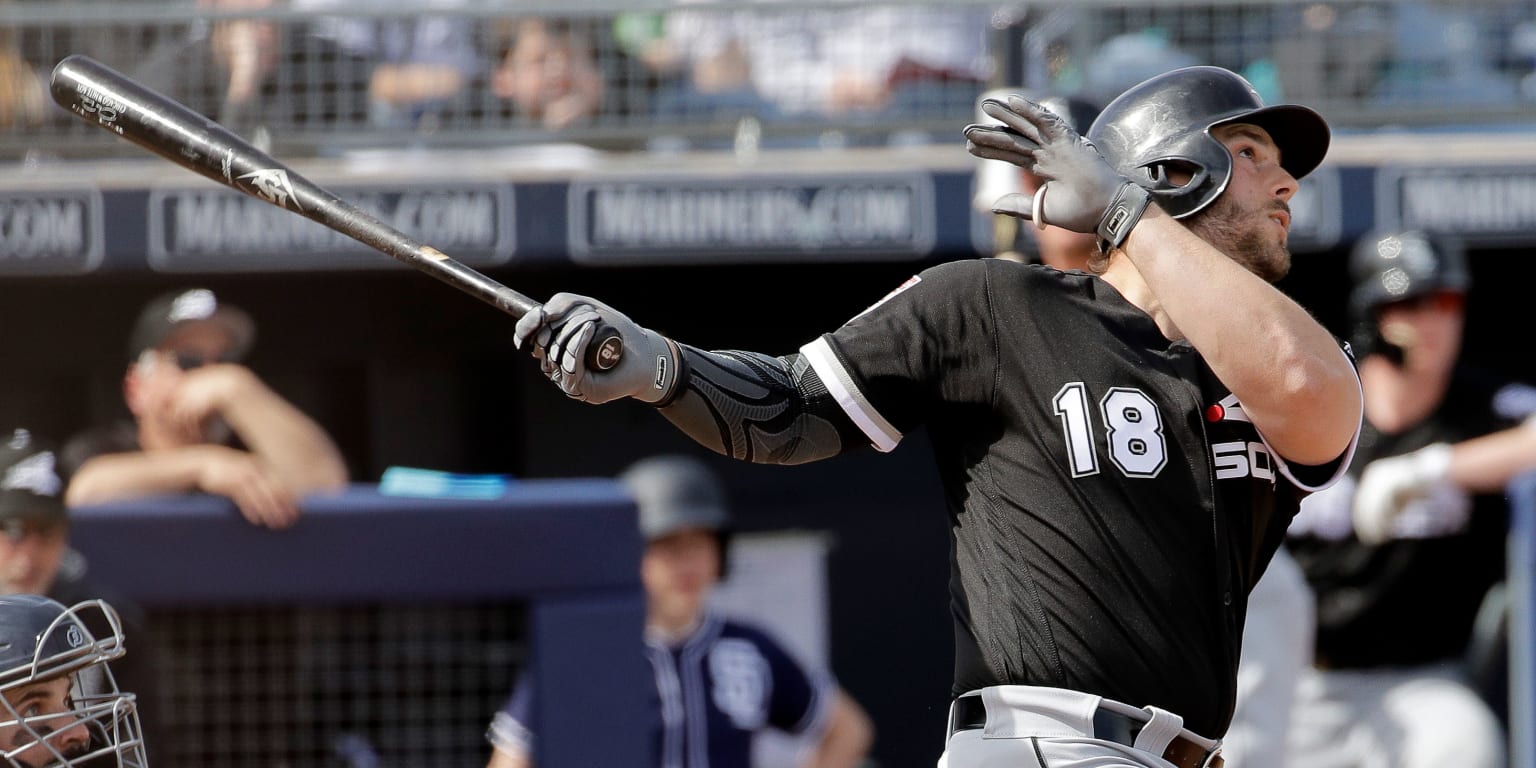 Daniel Palka, White Sox careful with hamstring