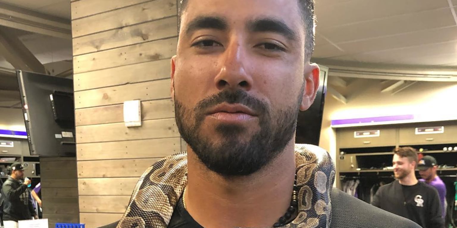 Ian Desmond is clearly not afraid of snakes | MLB.com