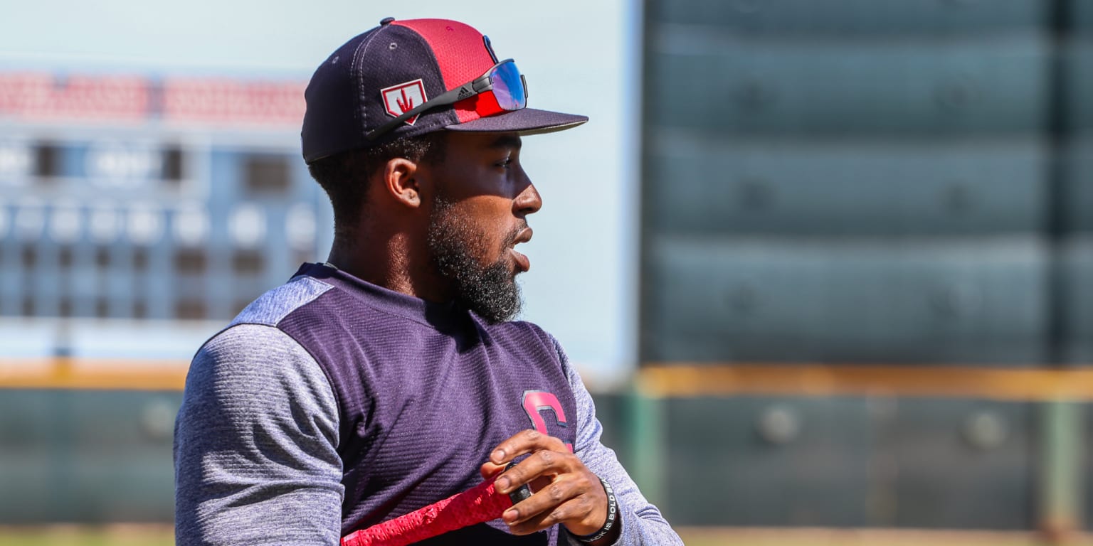 Daniel Johnson among prospects sent to Minors