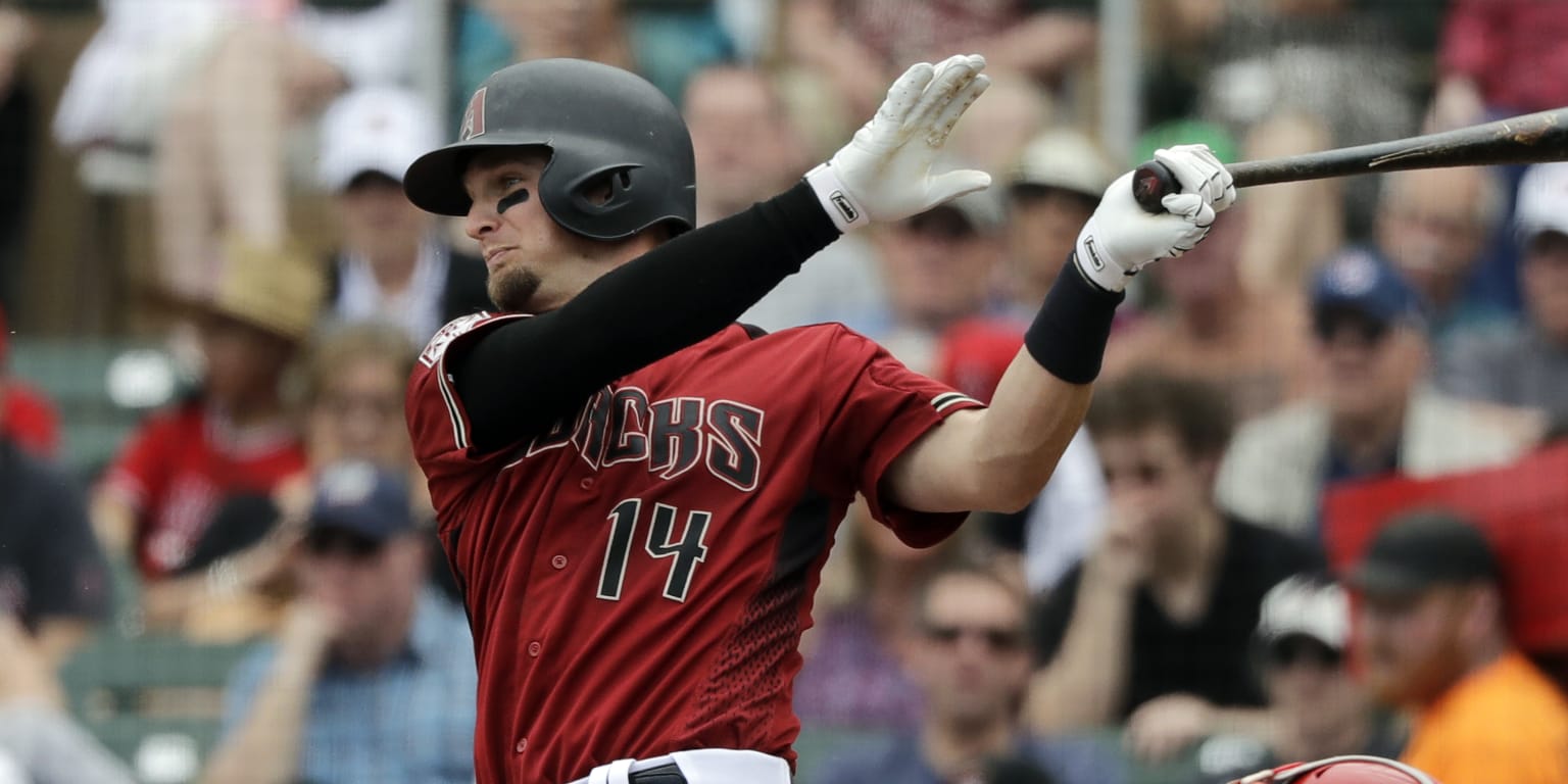 Caleb Joseph's journey from clubbie to D-backs