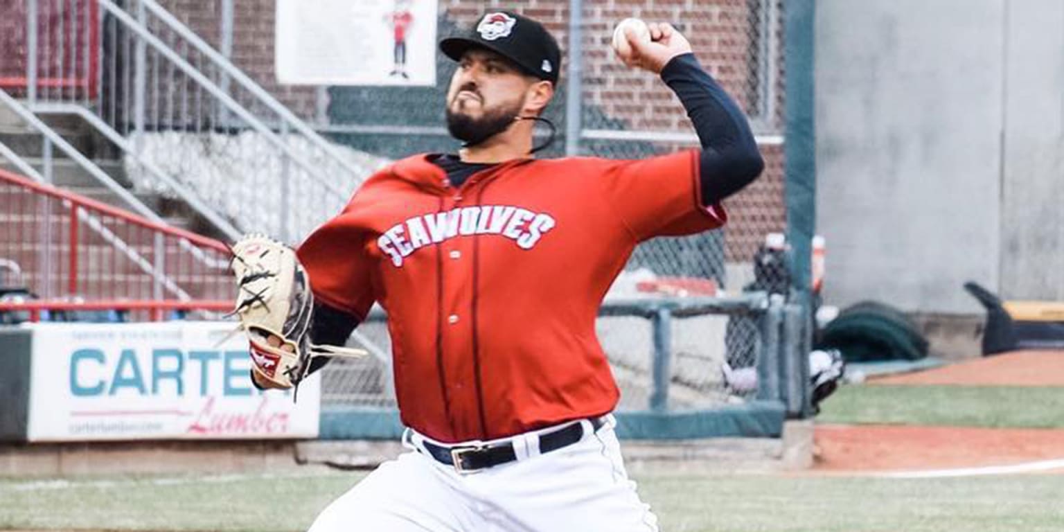 Nick Ramirez ends long journey, joins Tigers