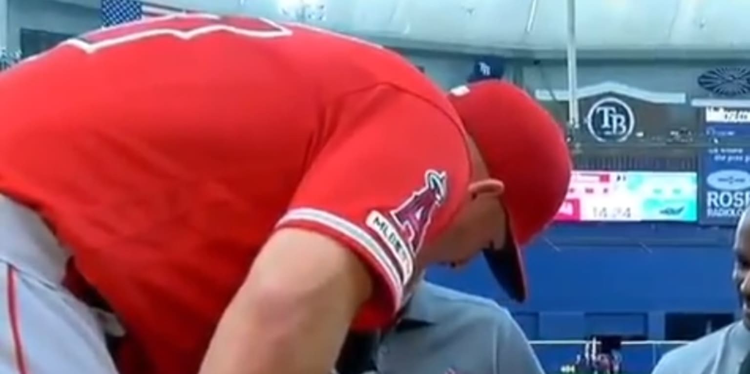 Mike Trout pets dog at Rays game | MLB.com