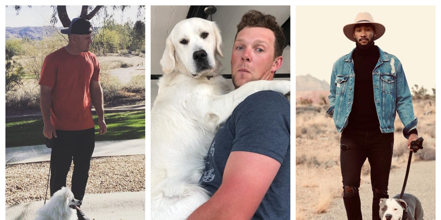 Celebrating baseball dog dads for Father's Day | MLB.com