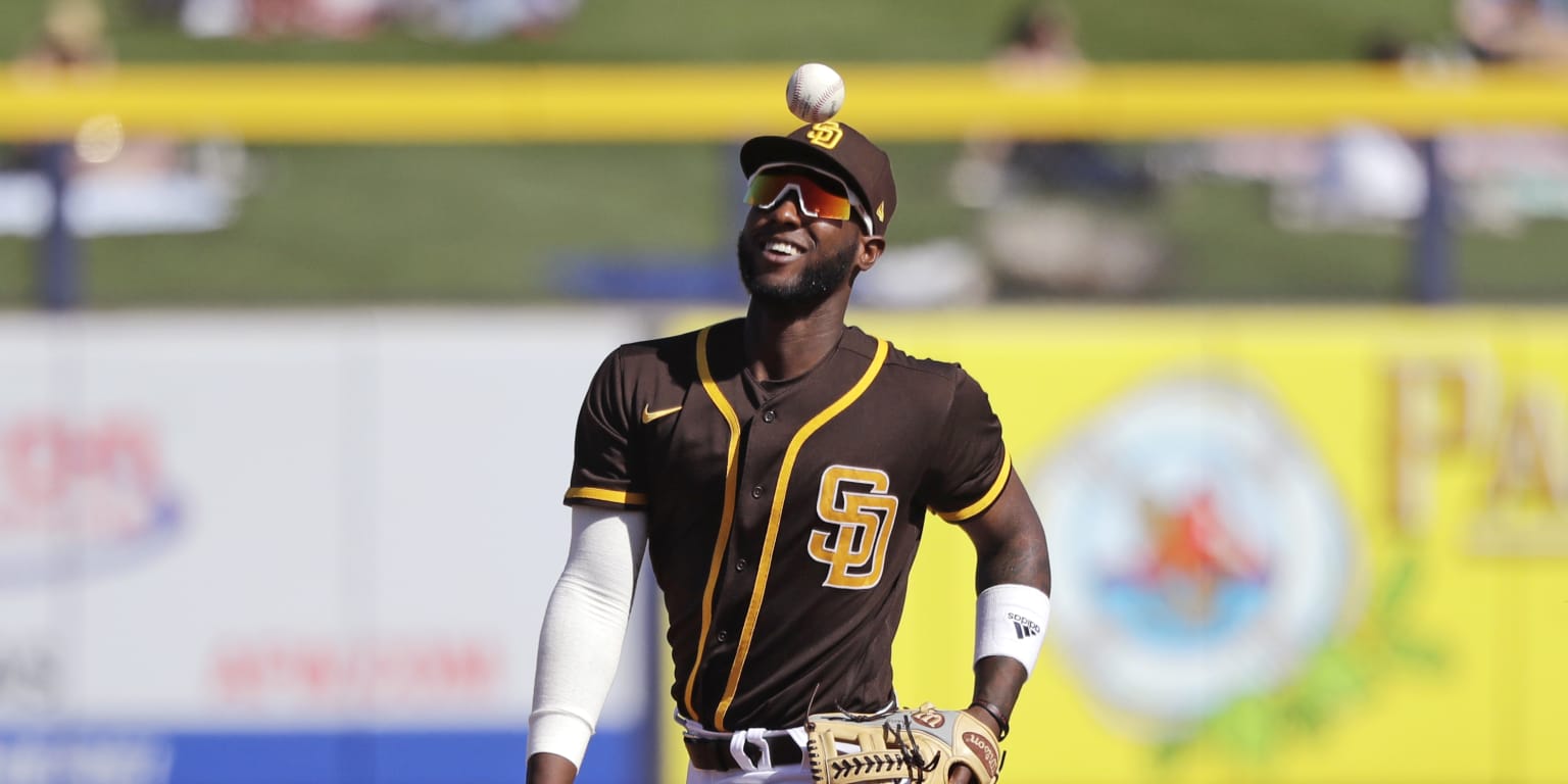 Padres' bench stocked with versatility