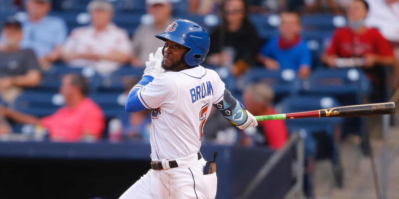 Rays prospect spotlight on Vidal Bruján