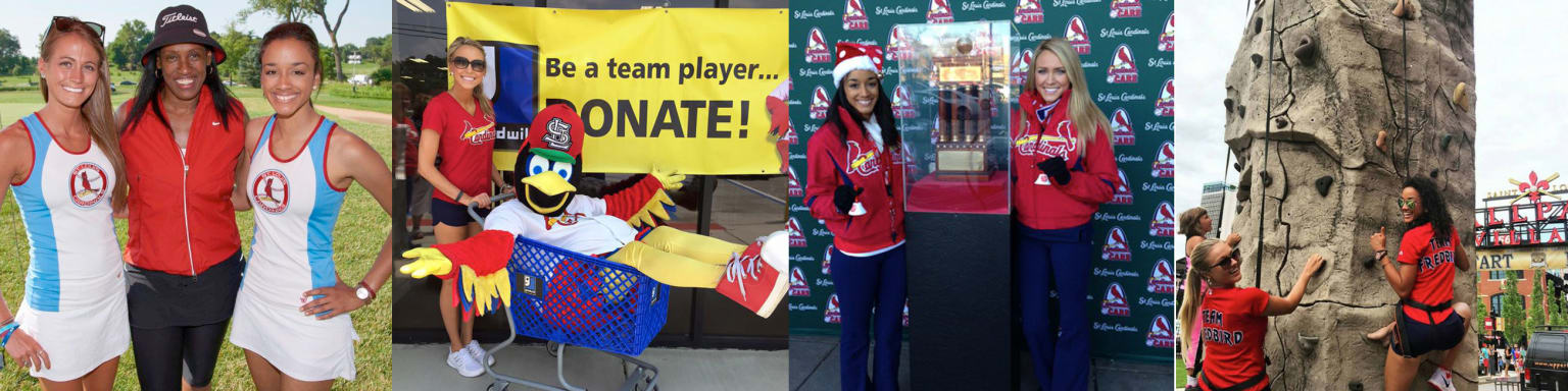 Team Fredbird | St. Louis Cardinals