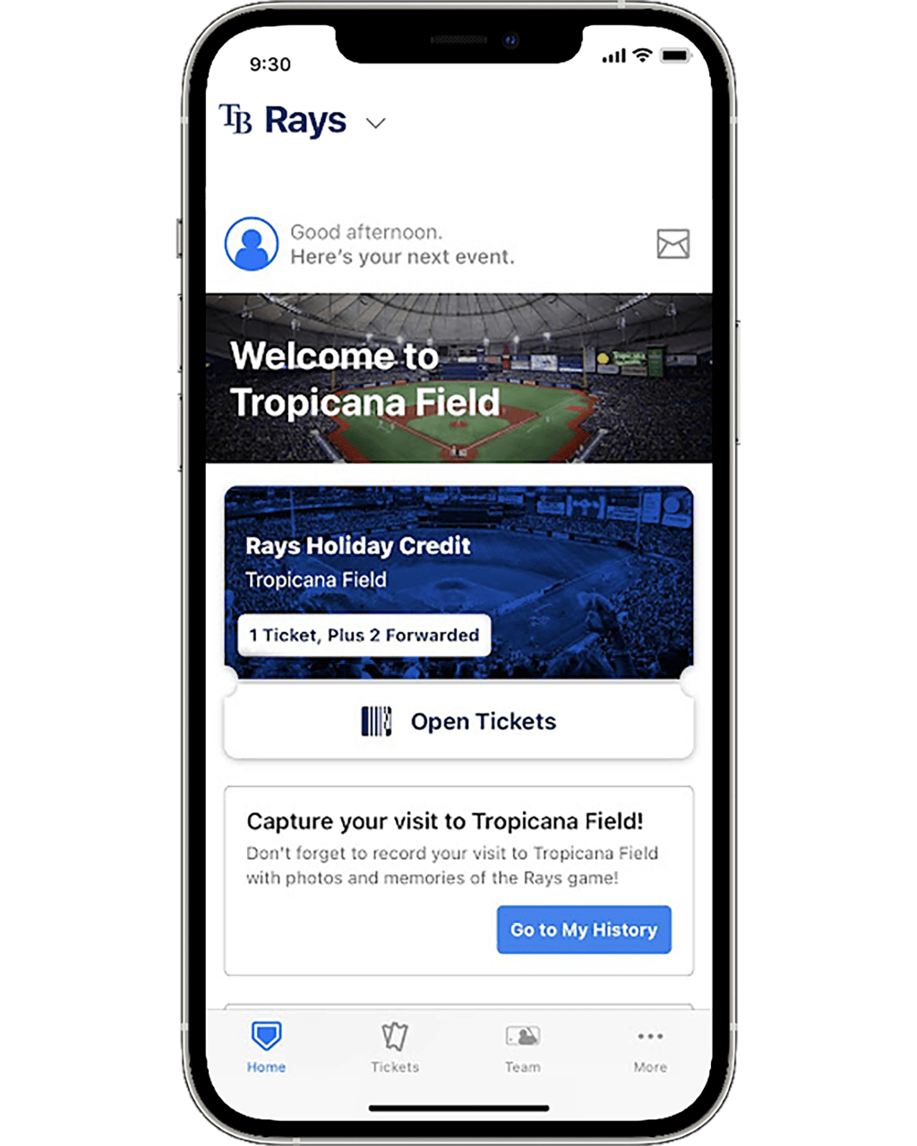 Rays Holiday Cheer | Tampa Bay Rays