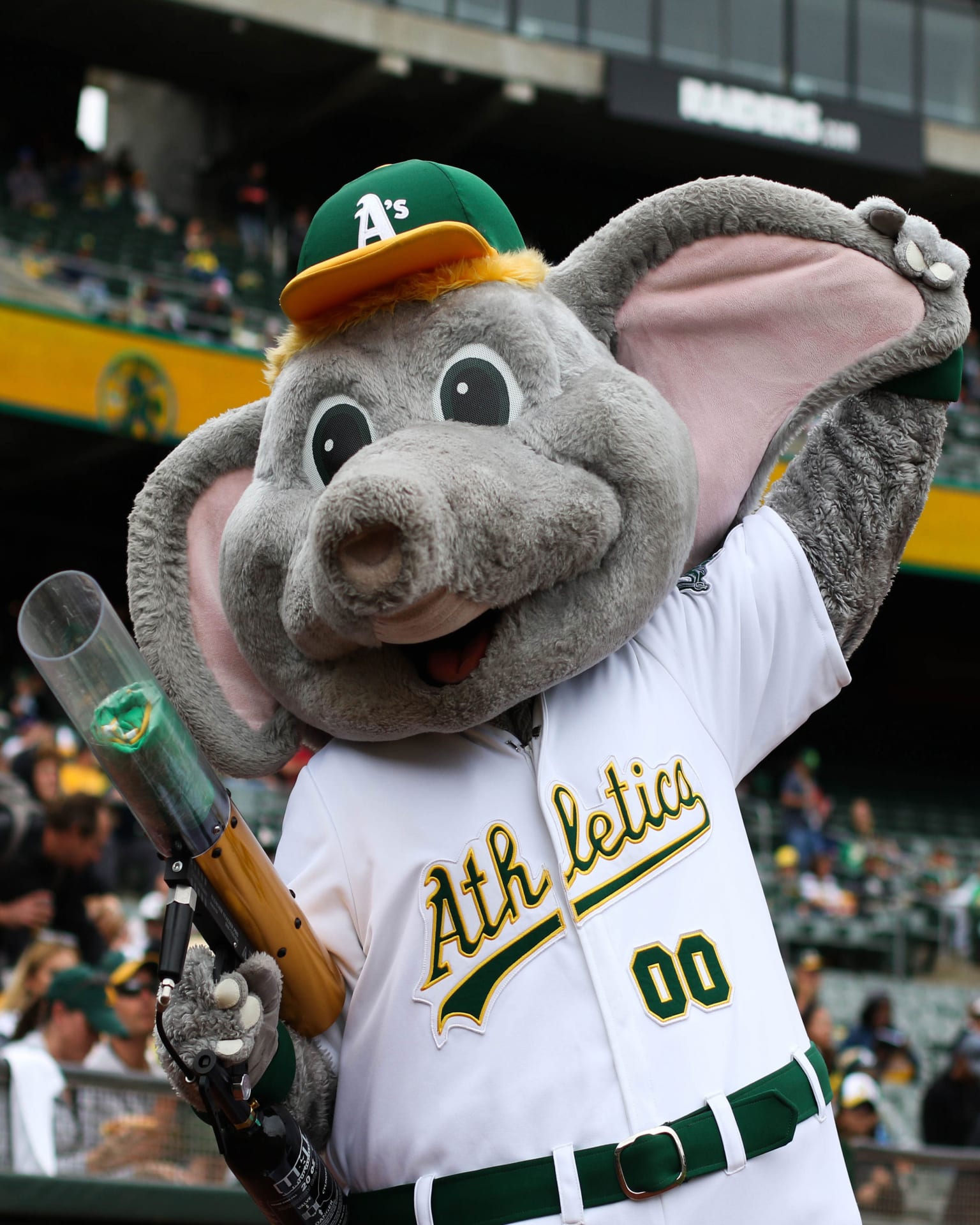 Stomper: The Oakland A's Mascot | Oakland Athletics