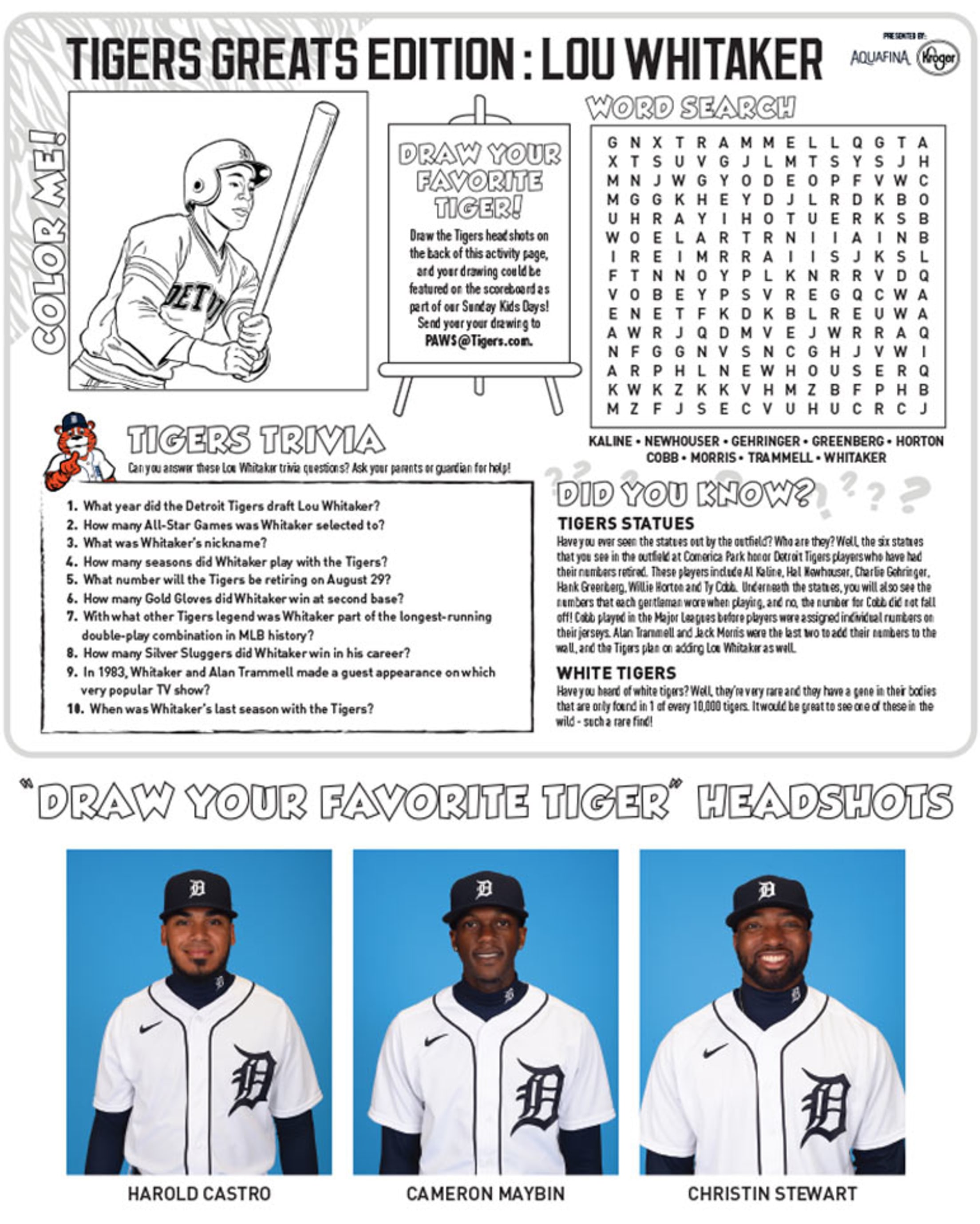 Kids Activities | Detroit Tigers