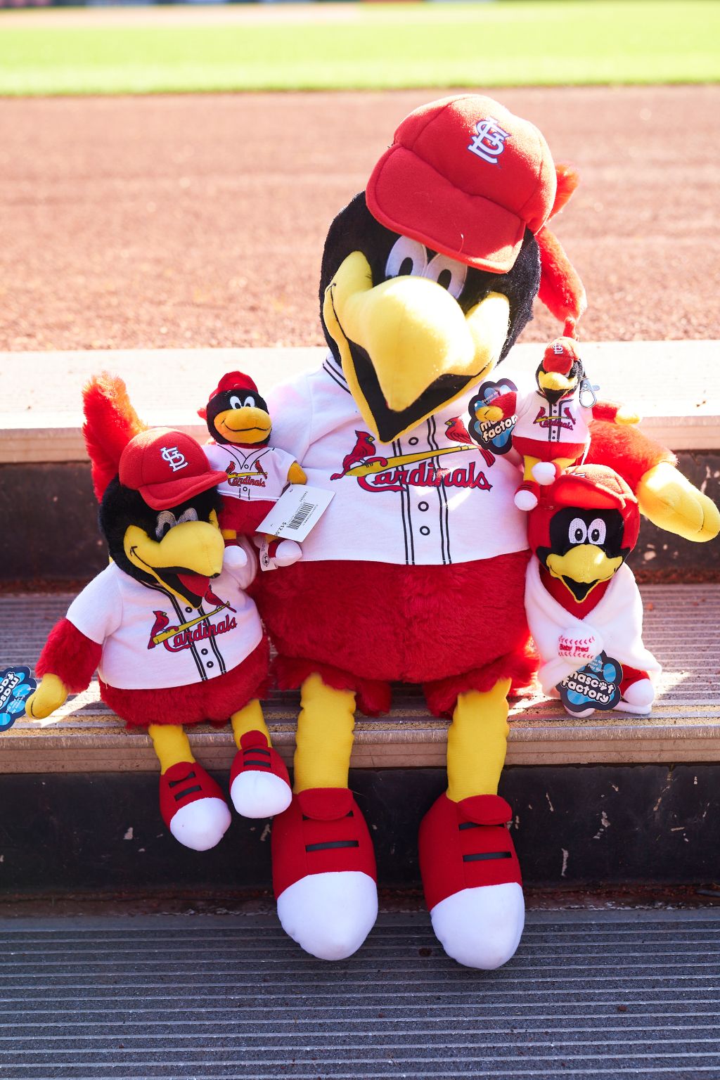 Gift Ideas from Official Cardinals Team Store | St. Louis Cardinals