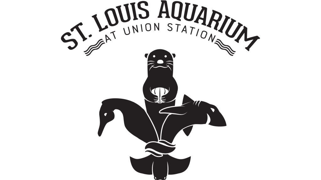 Discovery's Shark Week Theme Night | St. Louis Cardinals