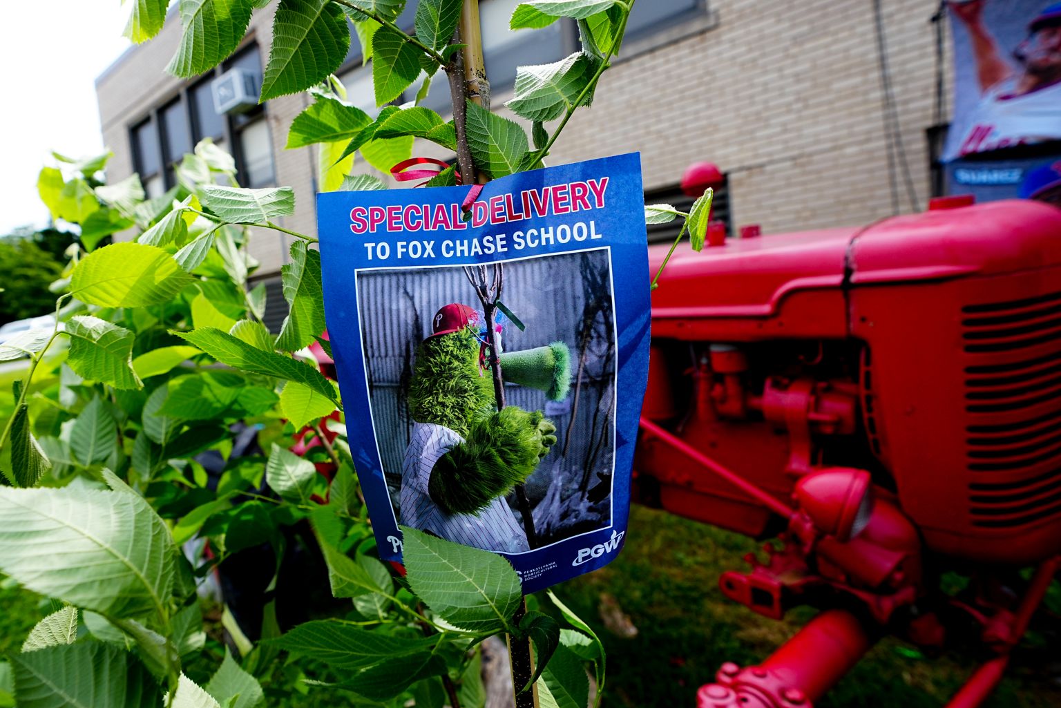 Tree Delivery to Fox Chase School | Philadelphia Phillies ...