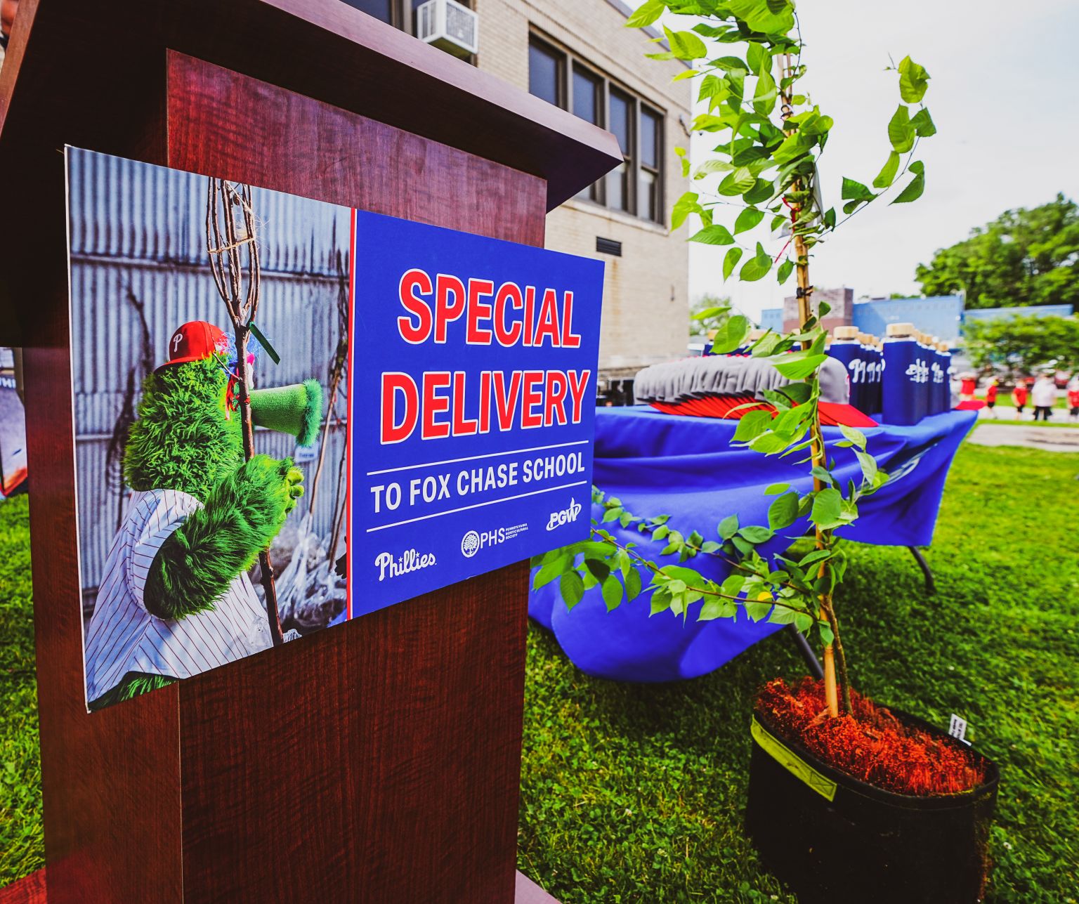 Tree Delivery to Fox Chase School | Philadelphia Phillies ...