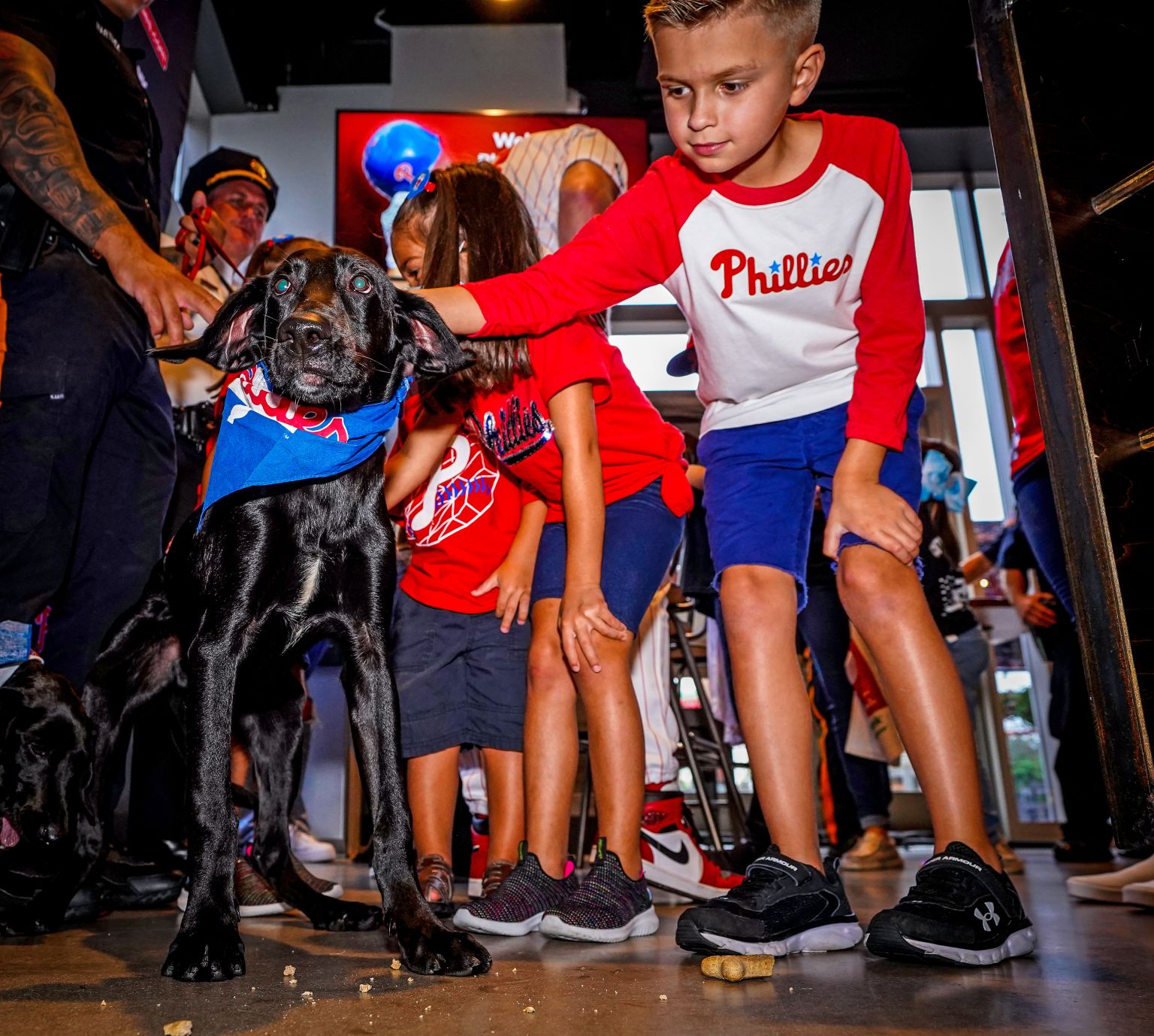Labrador Puppies of Phillies’ Archie Bradley & Raegan Poole to Become ...